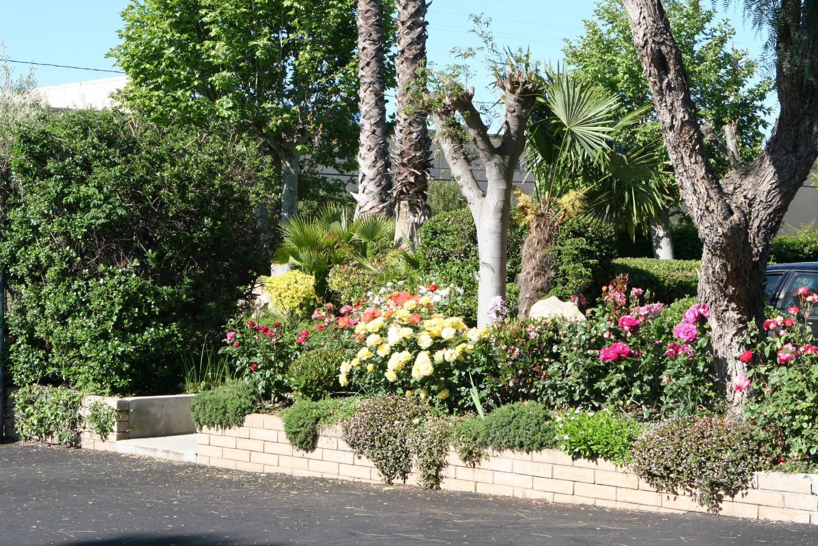 Worth a Thousand Words: The Adelaide Inn Photo Gallery - Adelaide Inn